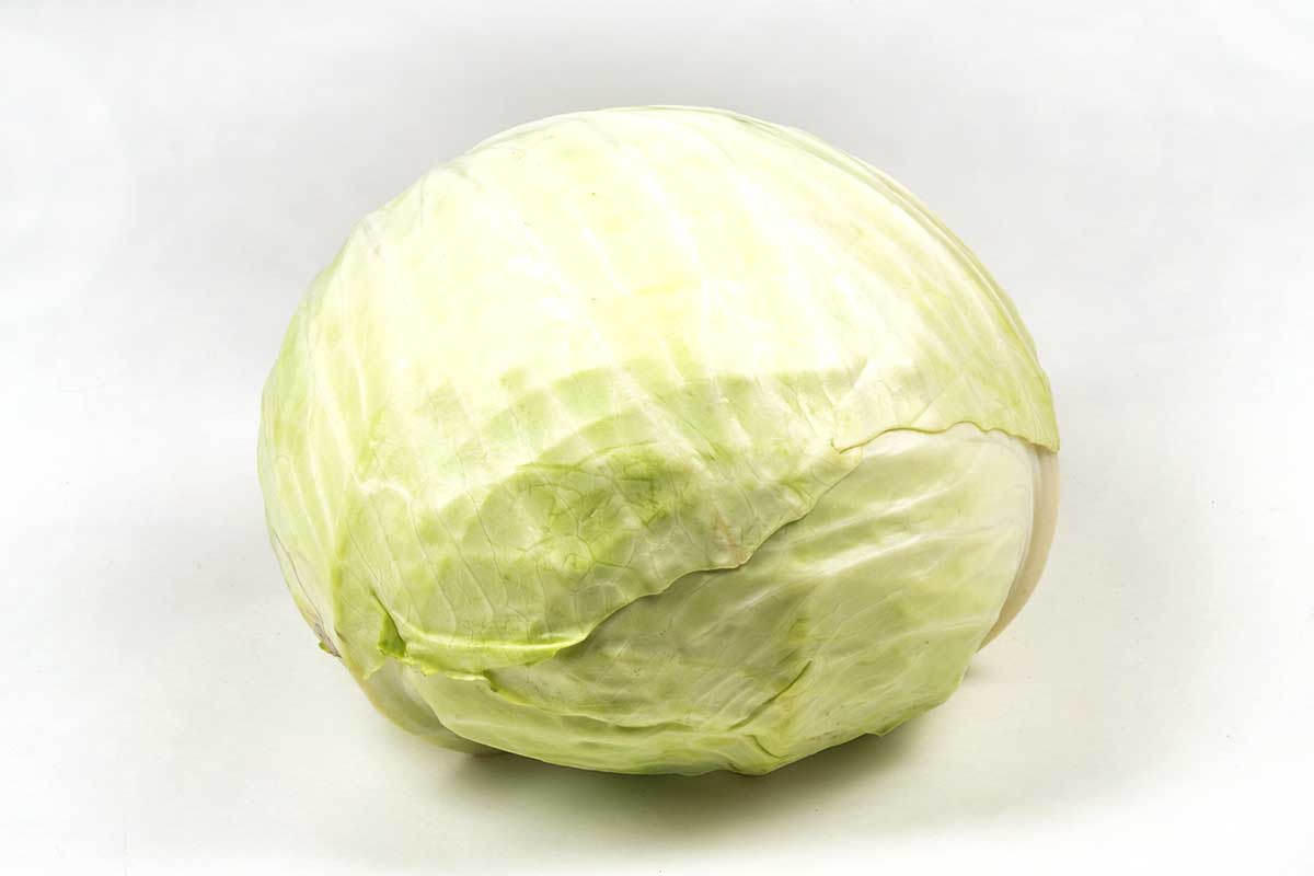 Weißkraut Art. 2030 – Weisl-Gemüse GmbH